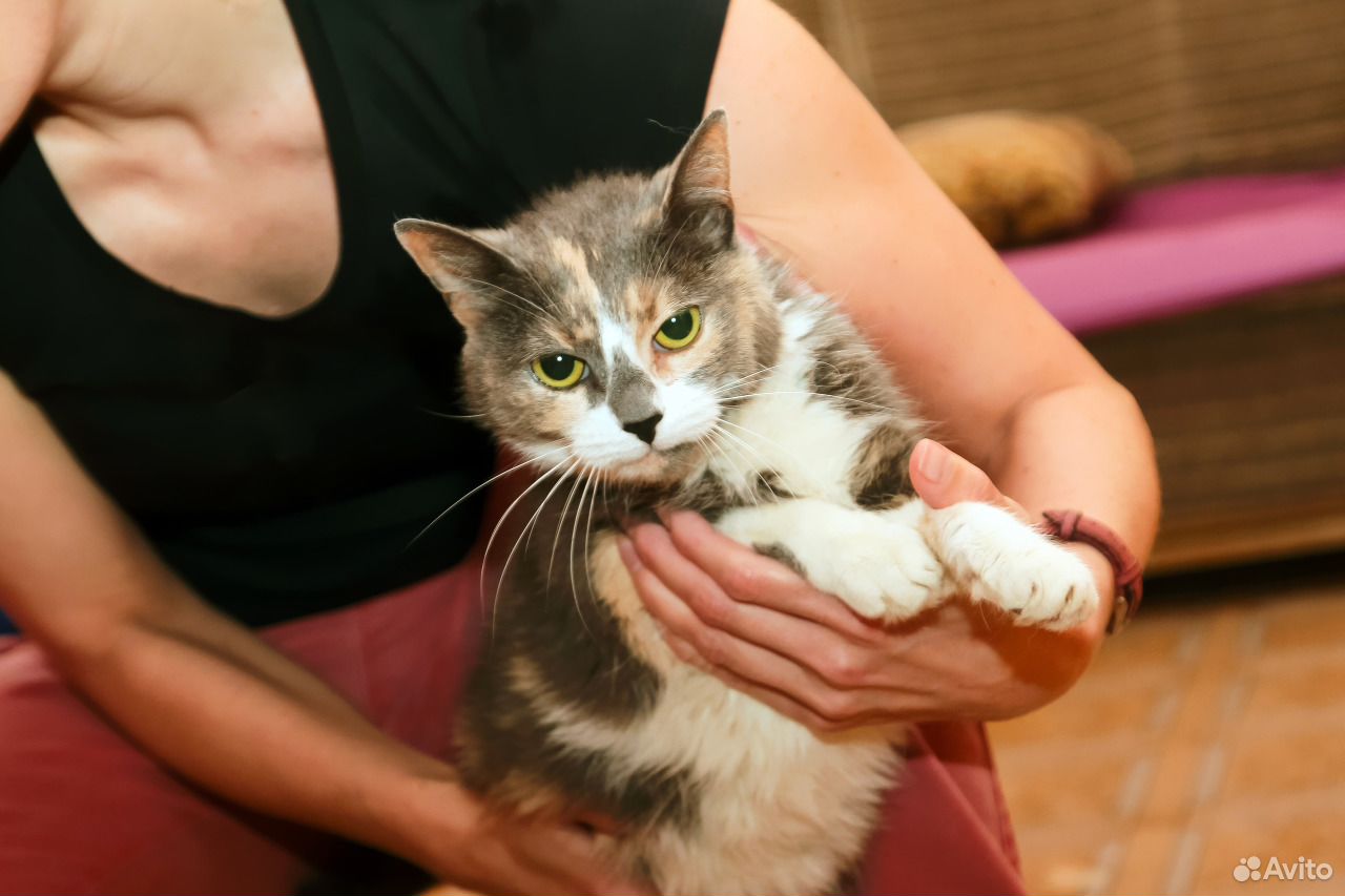 Леля суперласковая красавица в дар