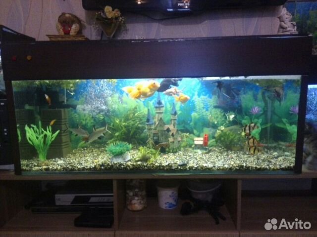 Аквариум 200л