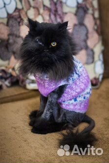 Мишель очень ждет своего Человека