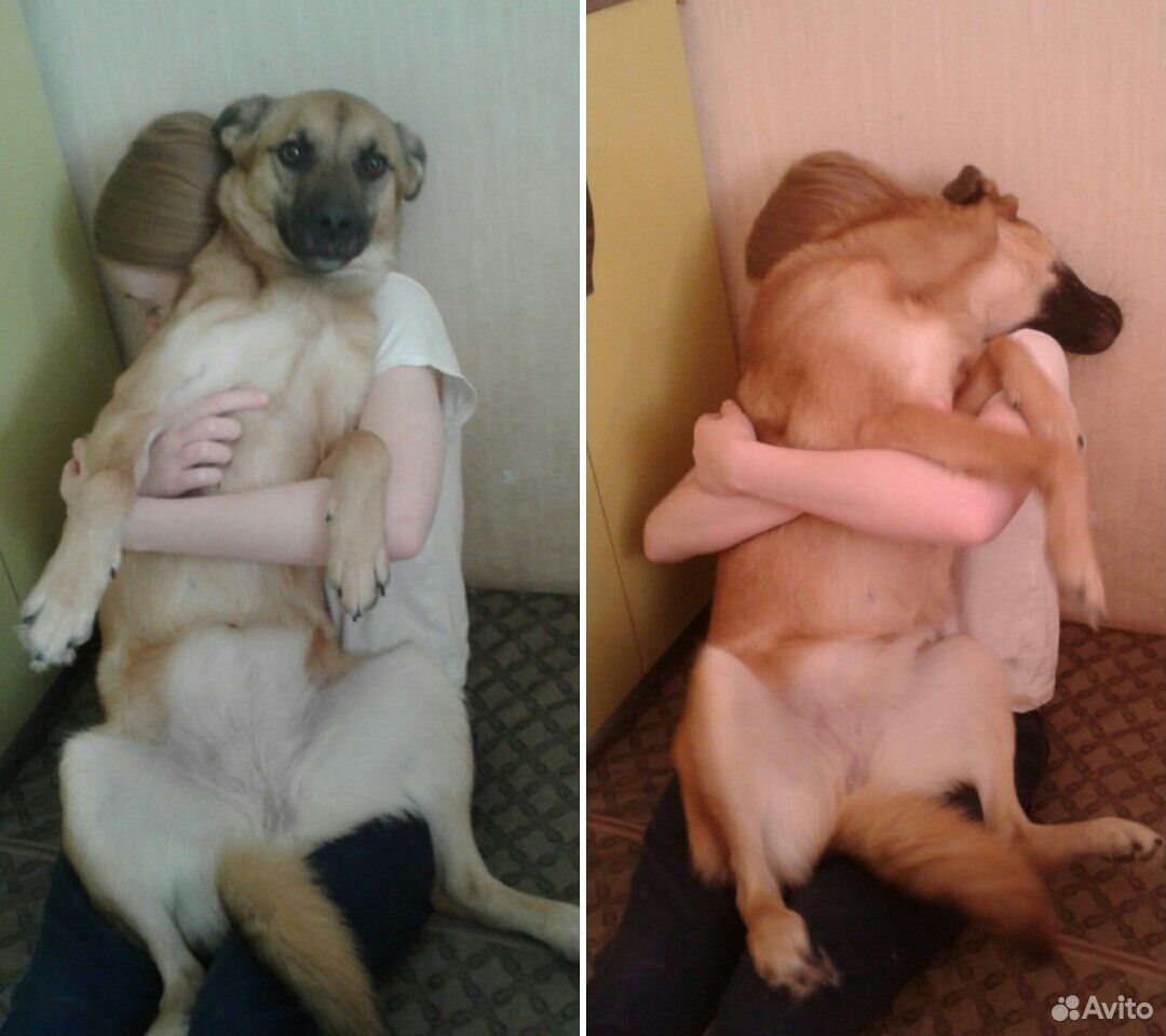 Собачка Кира - душевная целовательная. 1 год