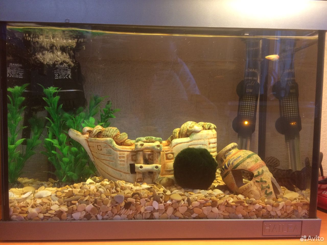 Аквариум, 20 литров