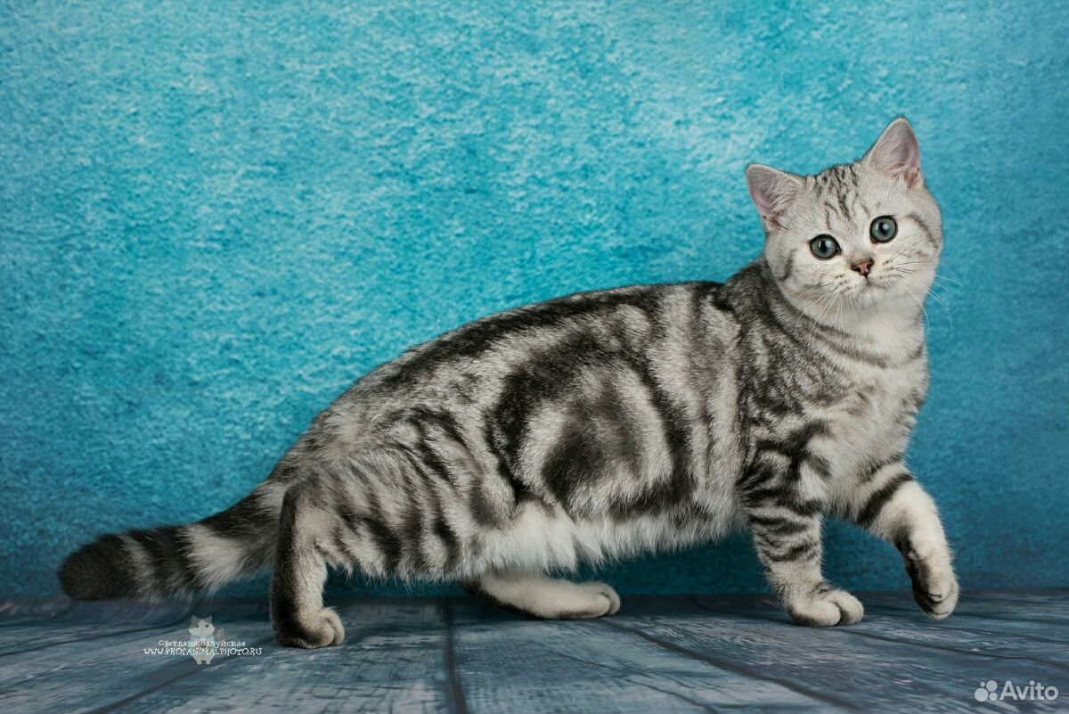 Мраморная девочка