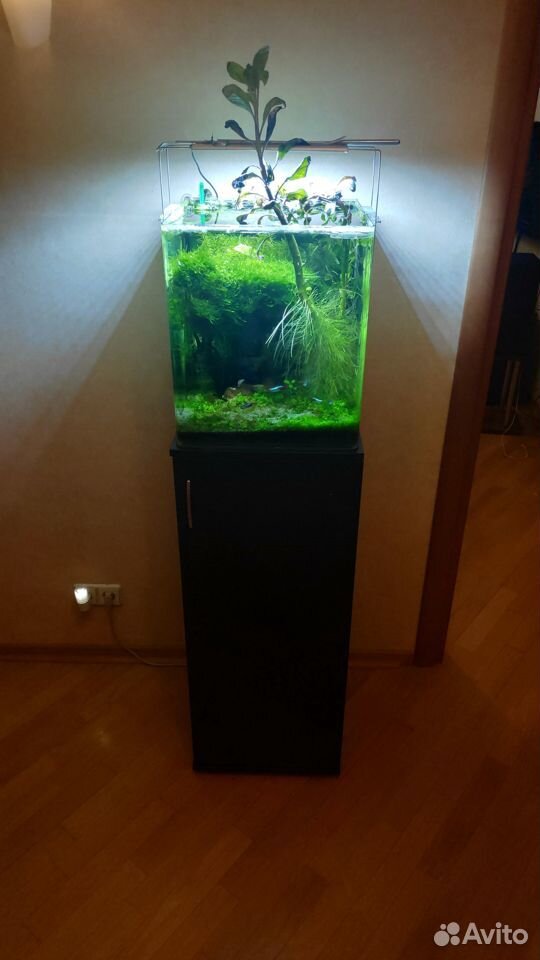 Аквариум Dennerle Nano Cube 60 с оборудованием