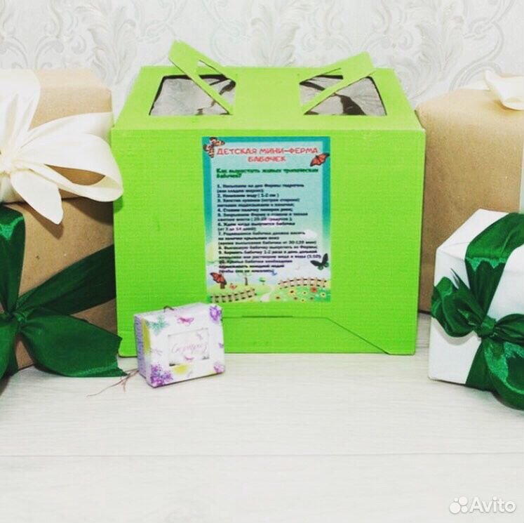 Мини ферма бабочек