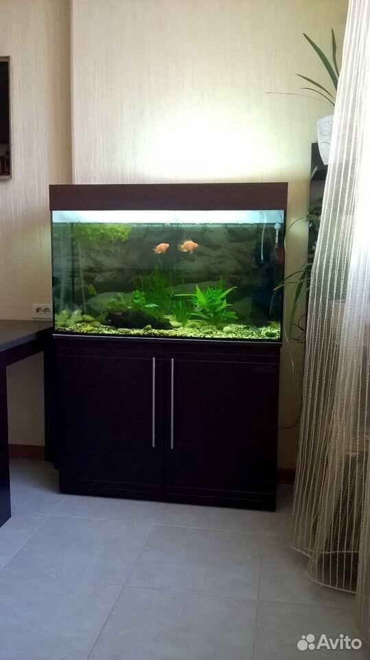 Аквариум