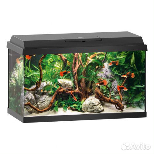 Аквариум новый juwel record 600 all inclusive