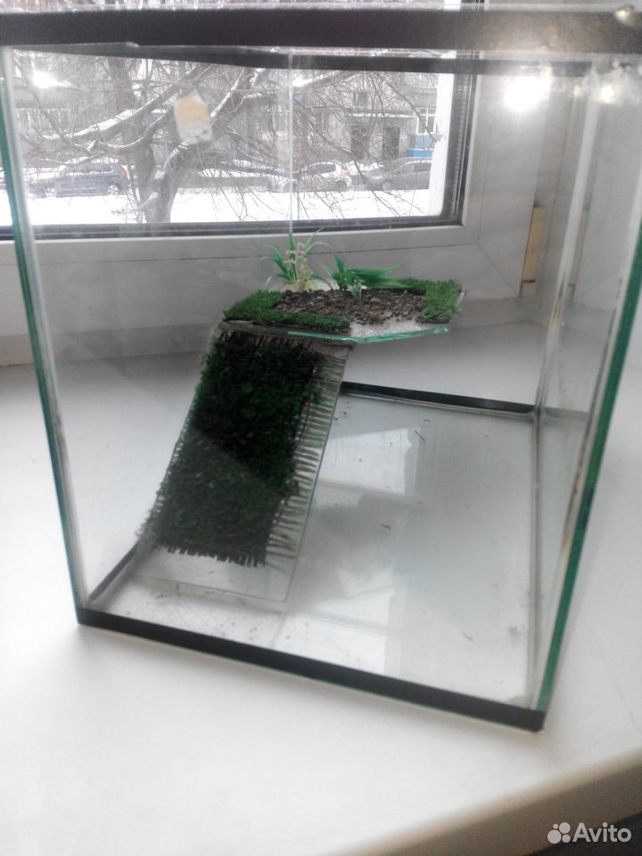 Черепашник