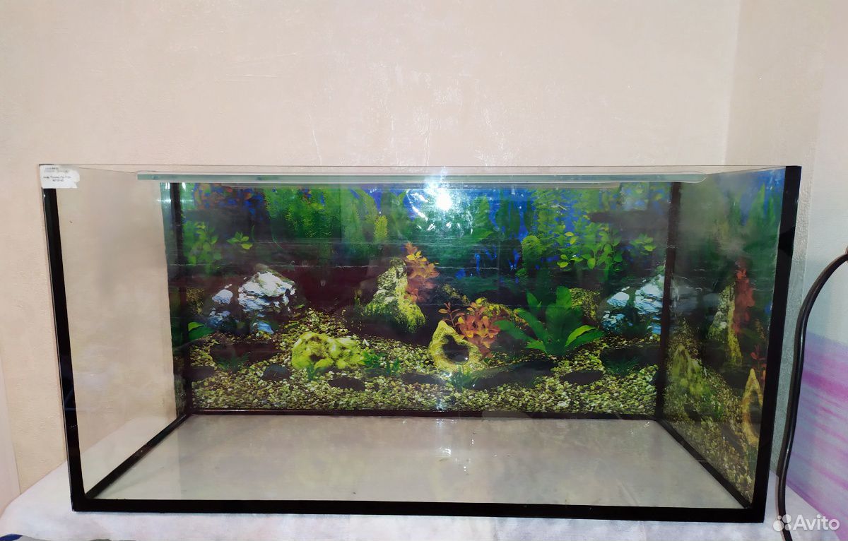 Аквариум