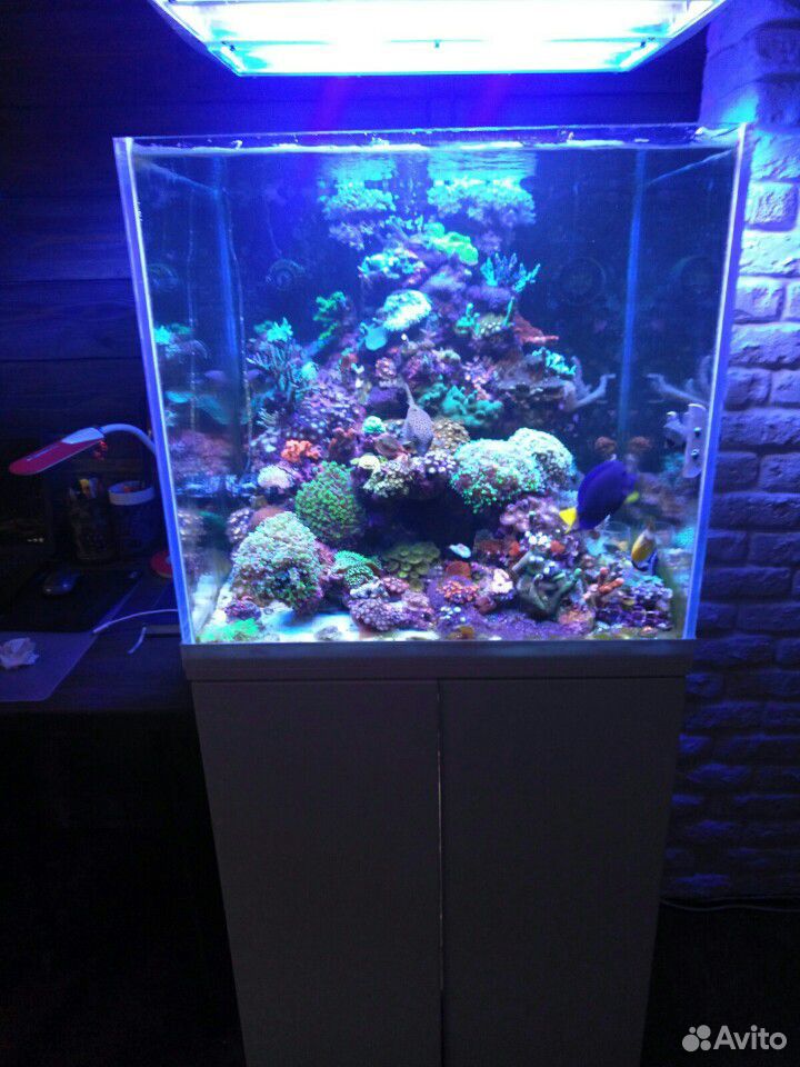 Морской аквариум 65/55/60