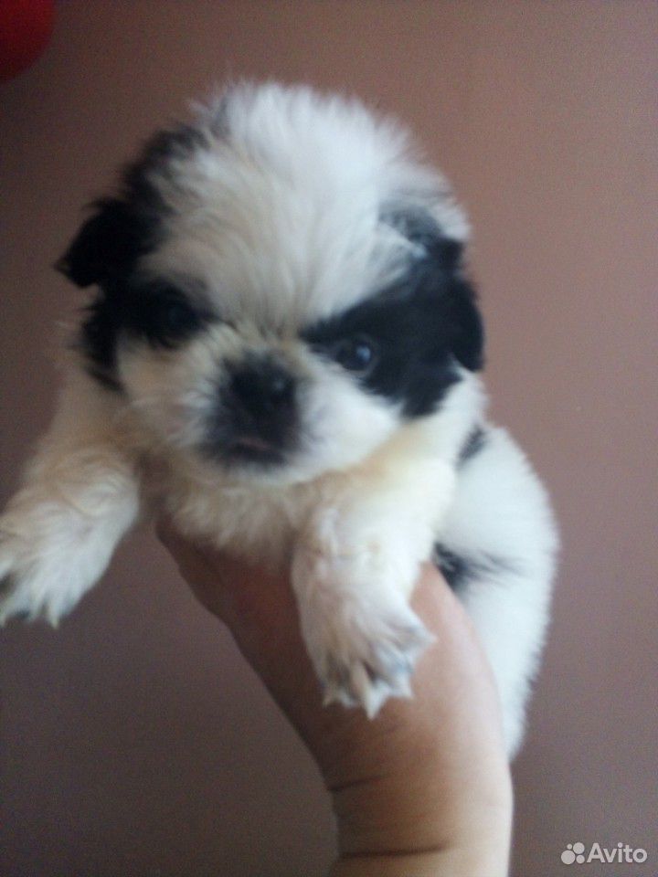 Классный пацан