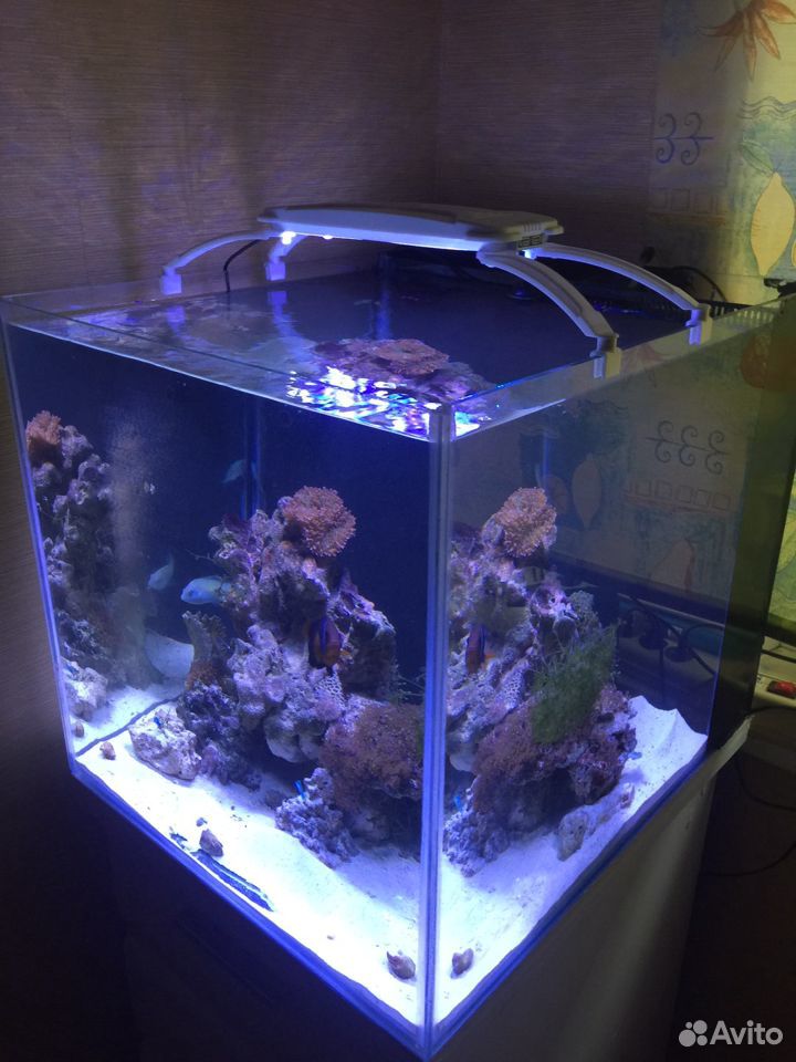 Морской 150л с живностью и оборудованием