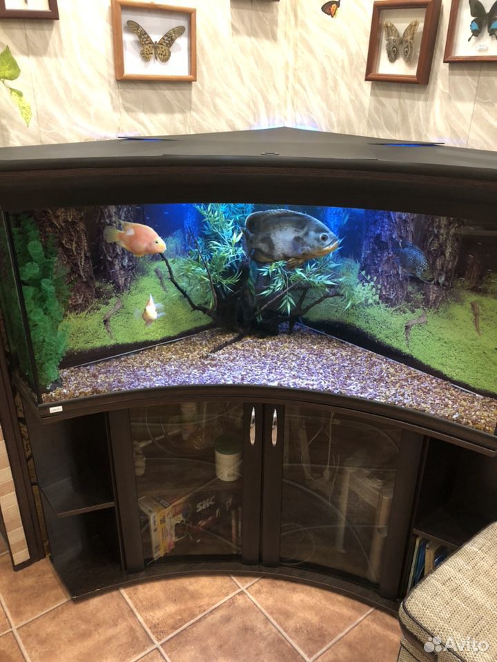 Аквариум