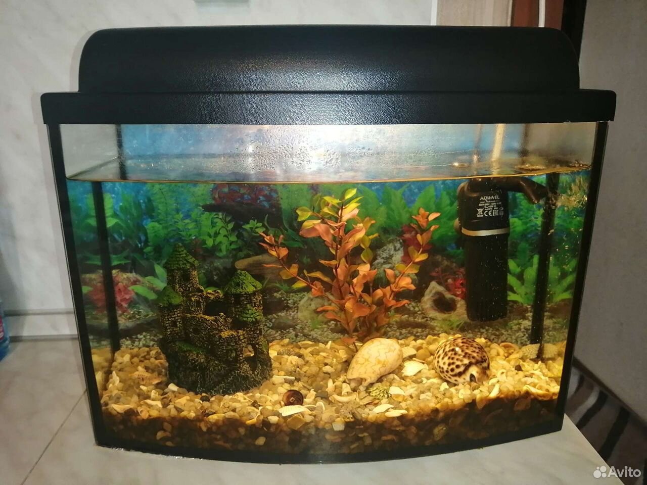 Аквариум