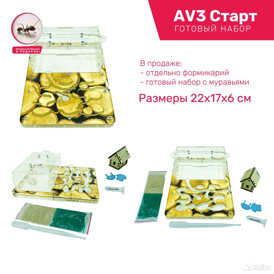 Муравьиная ферма «Дерево»