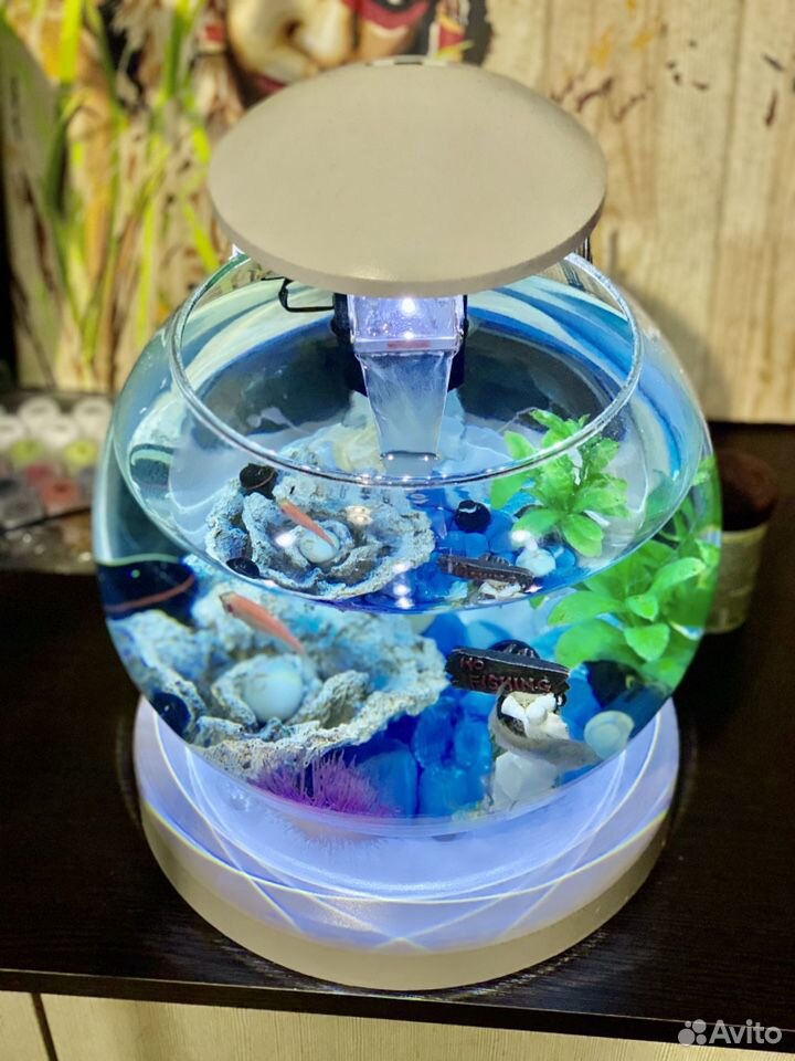 Аквариум с рыбками