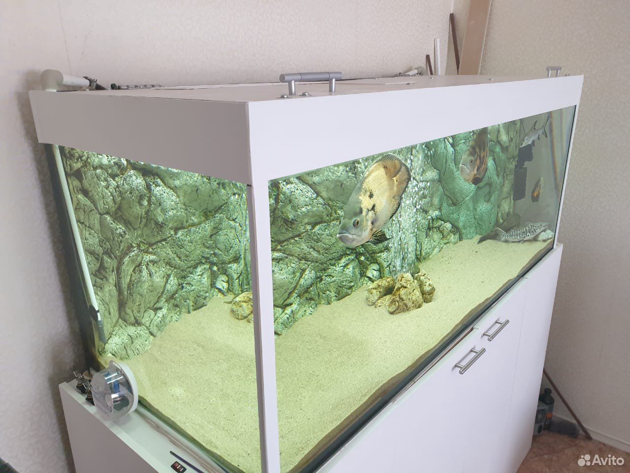 Аквариум 700