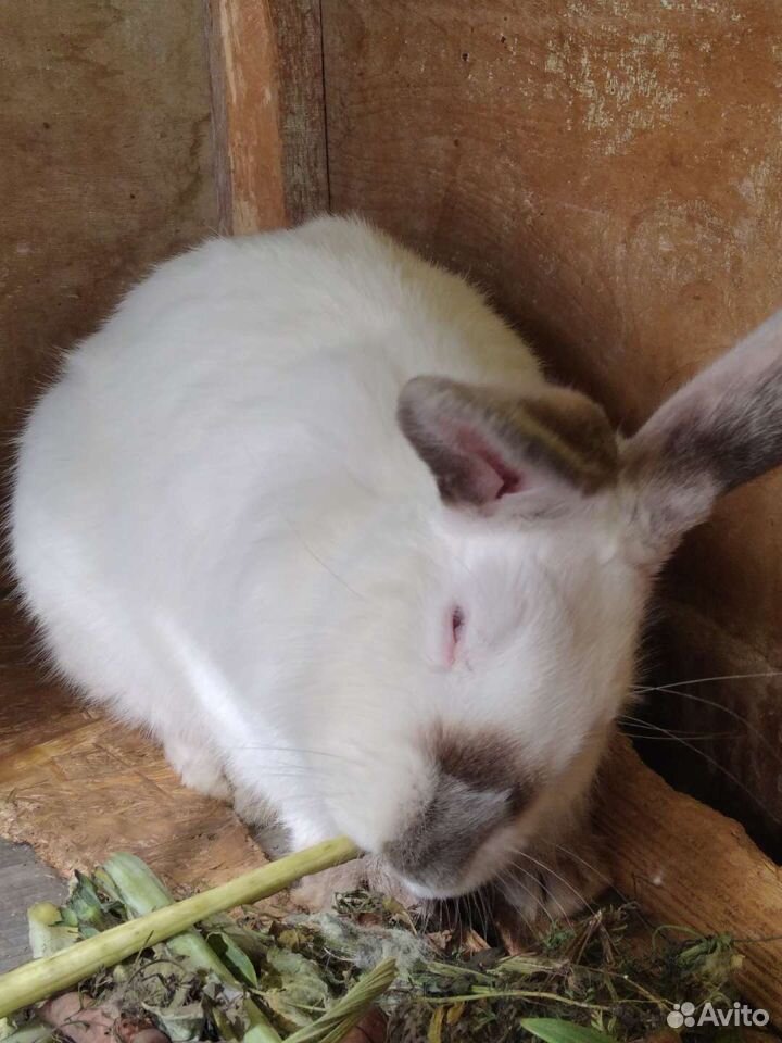 Семья (+детки)