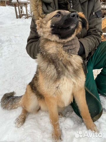 Стерильная девочка, возраст 5 месяцев