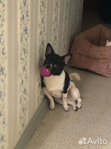 Вязка для здоровья