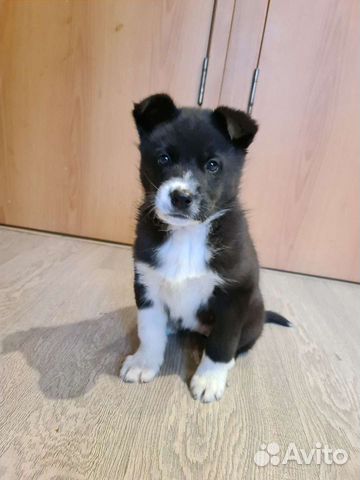 Маленькая Марта