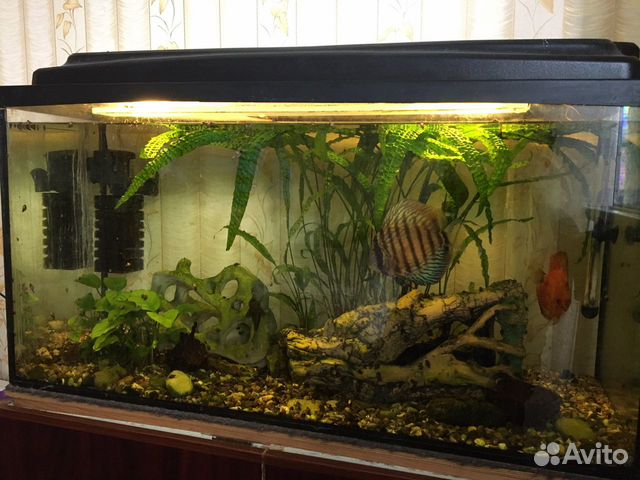 Продам аквариум