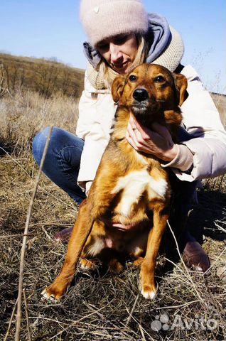 Малыши отдаются бесплатно