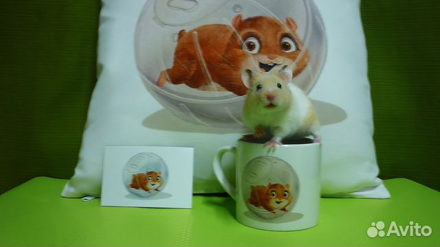 Сирийские Хомяки + Товары с изображением Хомяков