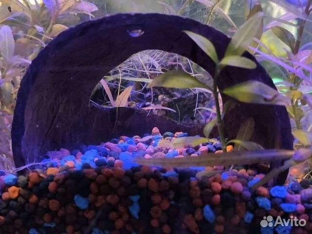 Украшение для аквариума