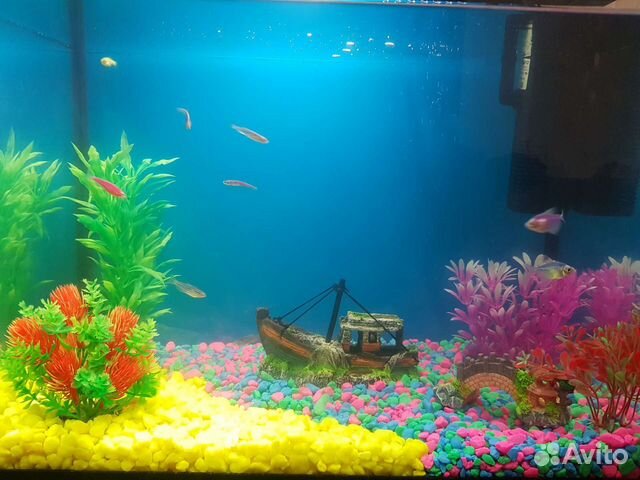 Аквариум с рыбками 35л
