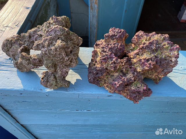 Камень коралл в аквариум