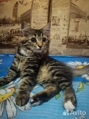 Малышка в добрые руки