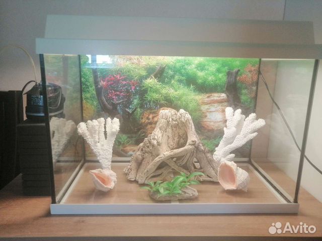 Аквариум