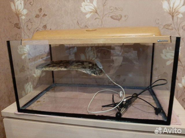Аквариум, внешний фильтр, нагреватель воды