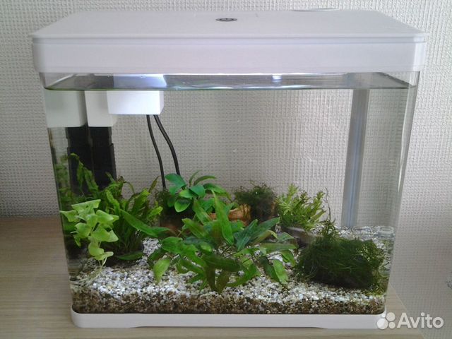 Аквариум Prime 15л с LED светильником и фильтром