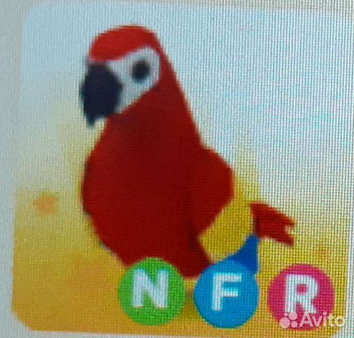 Adopt me продам нфр попугая