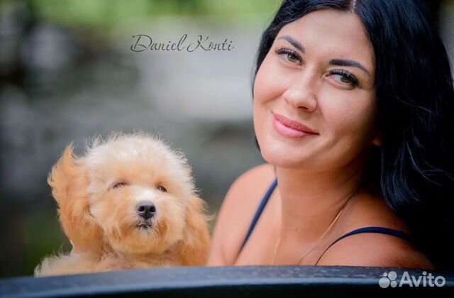 Мальчик очаровашка мальтипу Ф1