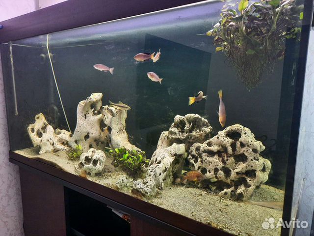 Аквариум Биодизайн Атолл400