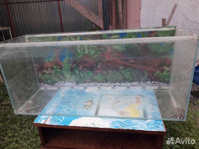 Аквариум