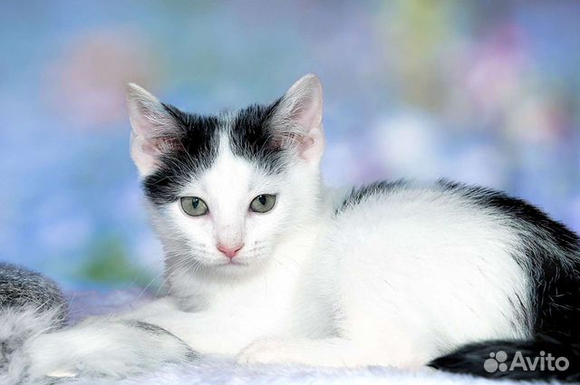 Девочка ищет дом