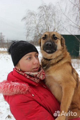 Фокси может никогда не узнать, что такое дом