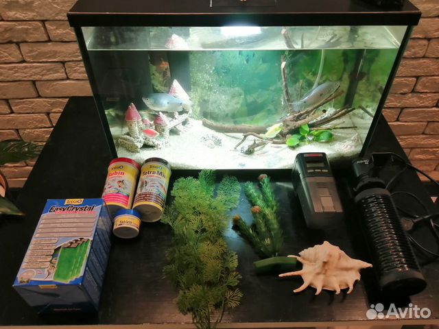 Аквариум с рыбками (комплект для начинающего)
