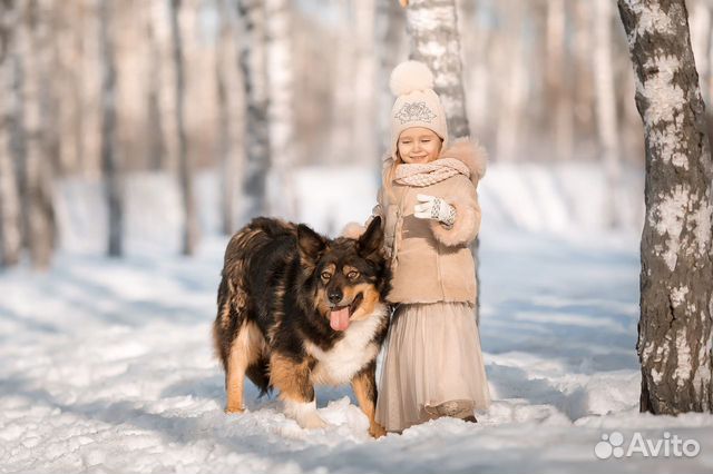 Орион ищет дом