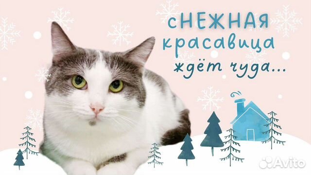 Нежно-снежная красавица