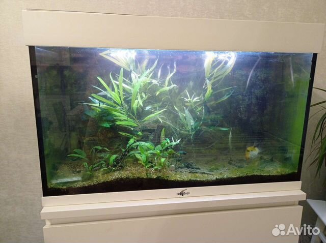 Аквариум Bio design