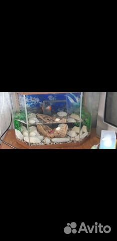 Аквариум +рыбка+филтр