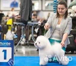 Будущий чемпион