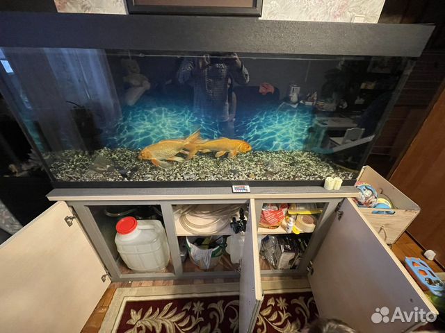 Аквариум