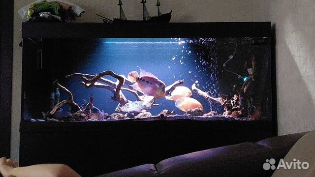 Аквариум с тумбой 540 литров