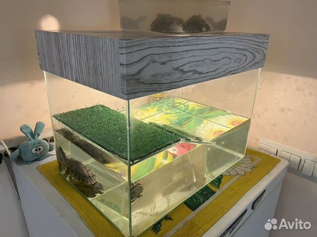 Террариум с черепахой