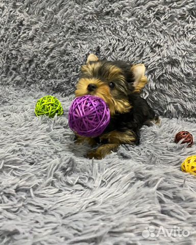 Красивый мальчишечка